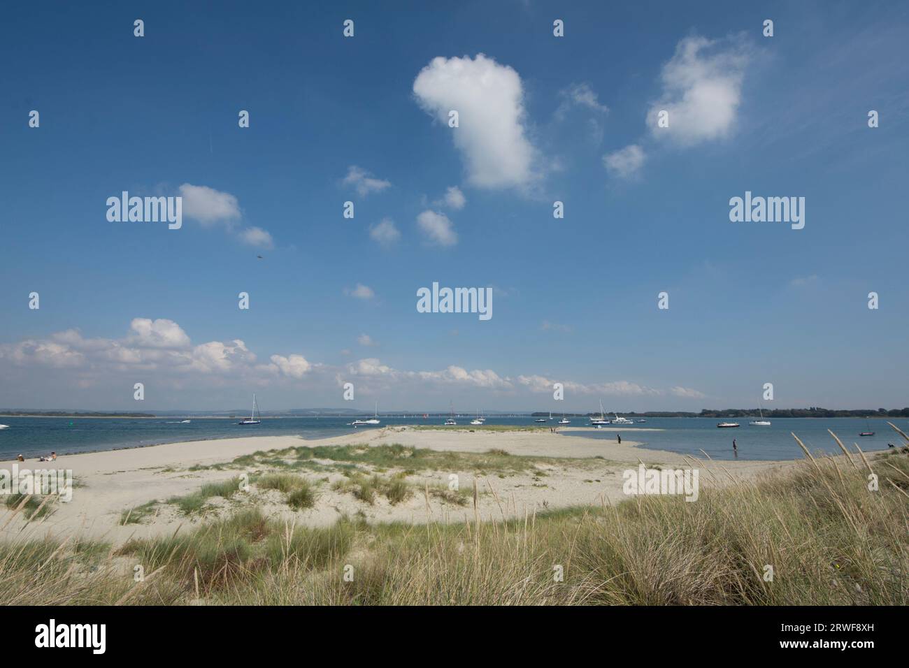 view at tip end of East Head sand dunes, view north into Chichester ...