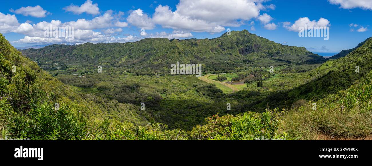 Manoa valley hi-res stock photography and images - Alamy