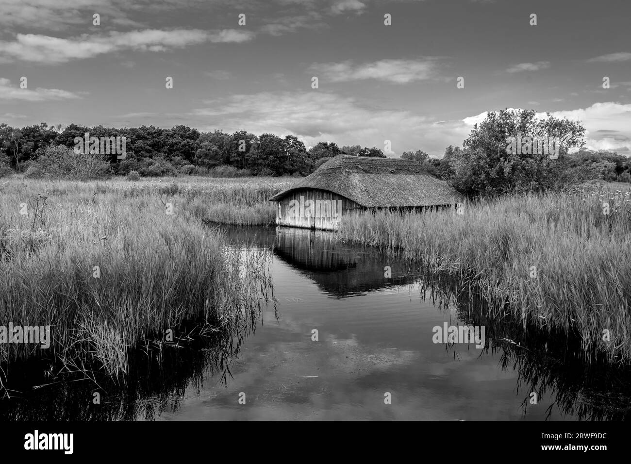 Norfolk broads Hickling Broad nature reserve black+white landscape ...