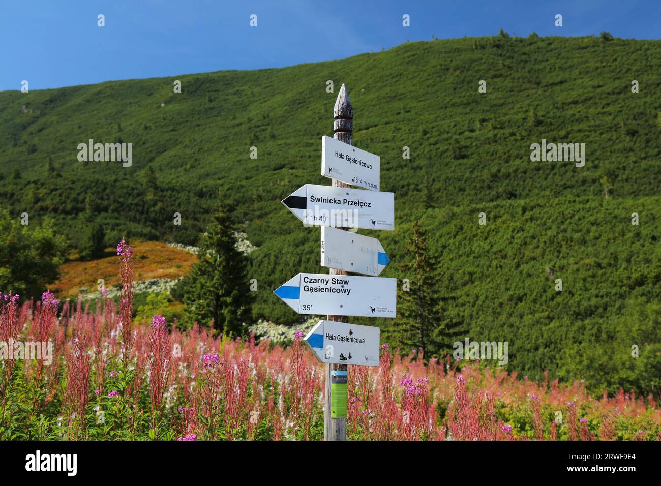 TATRA MOUNTAINS, POLAND - SEPTEMBER 9, 2023: Hiking trail directions on ...