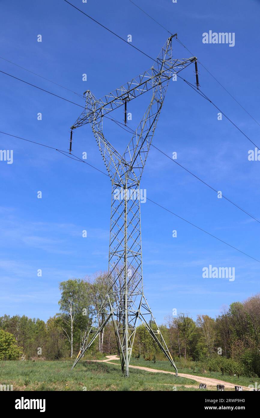 High tension power lines. Electricity pylon in Radzionkow, Poland Stock ...