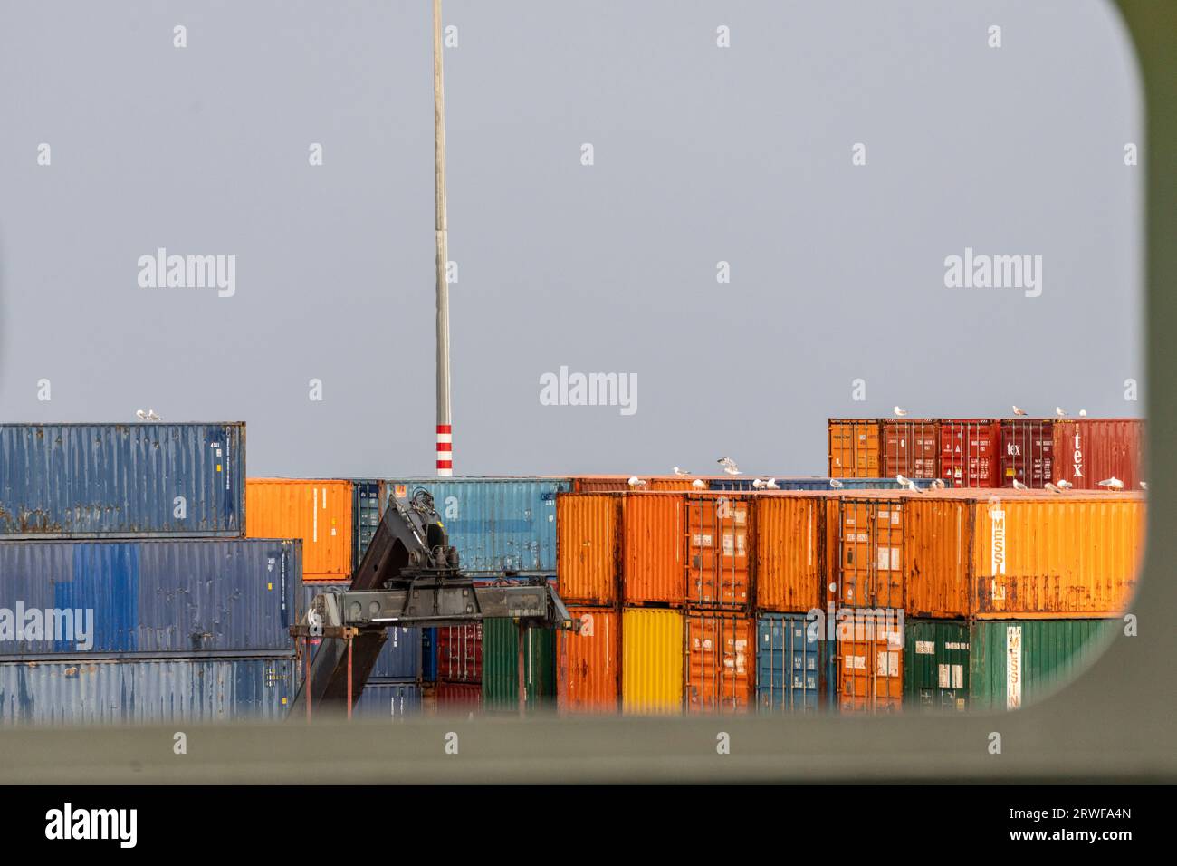 Port organization of containers hi-res stock photography and images - Alamy