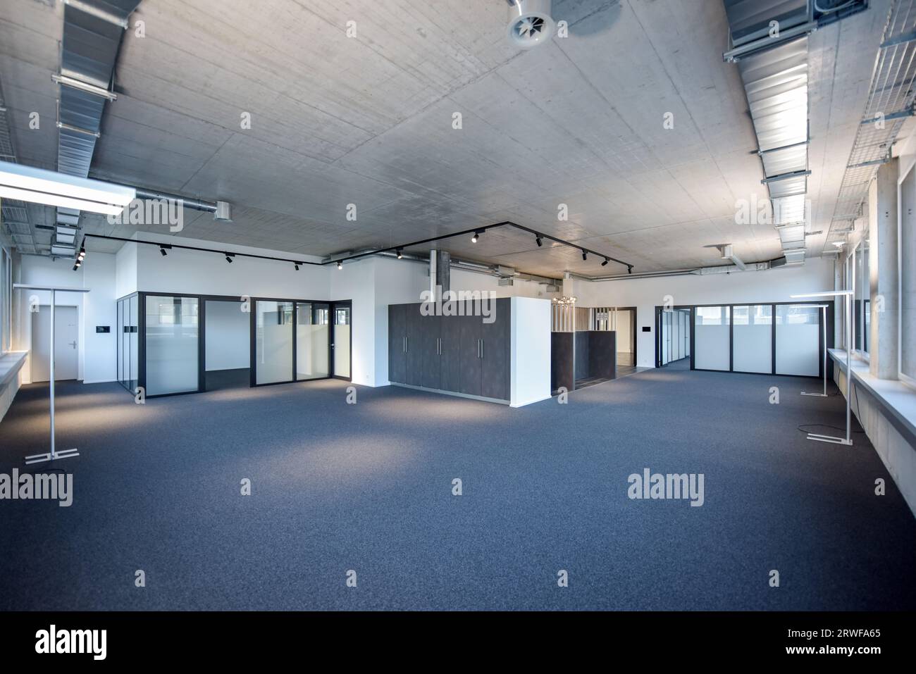 Office space with concrete ceiling and anthracite carpet, black spot ...