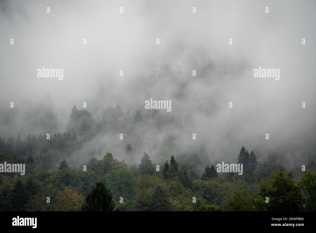 Mist covering mountains hi-res stock photography and images - Alamy