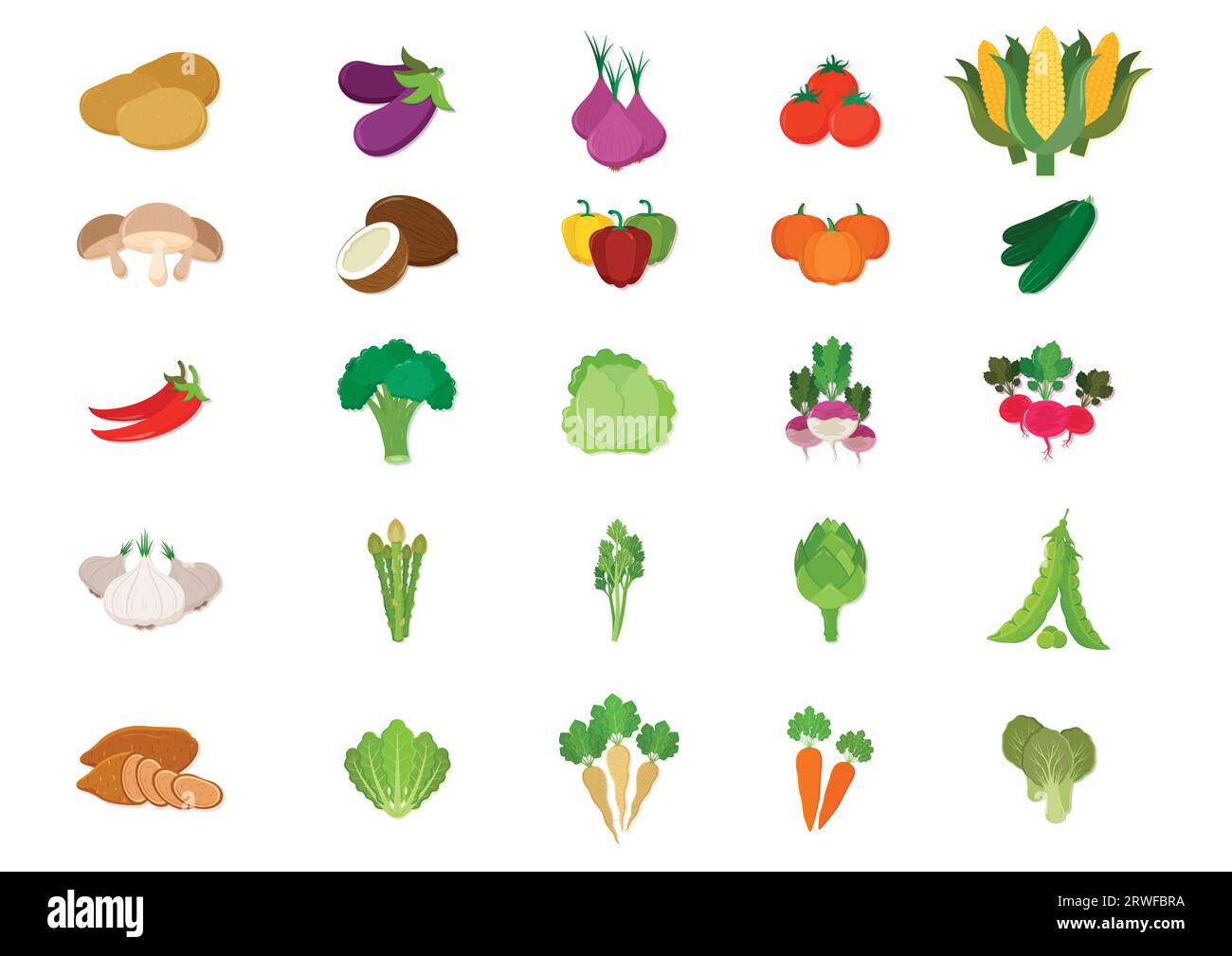 Collection of different kinds of fresh vegetables vector illustration ...