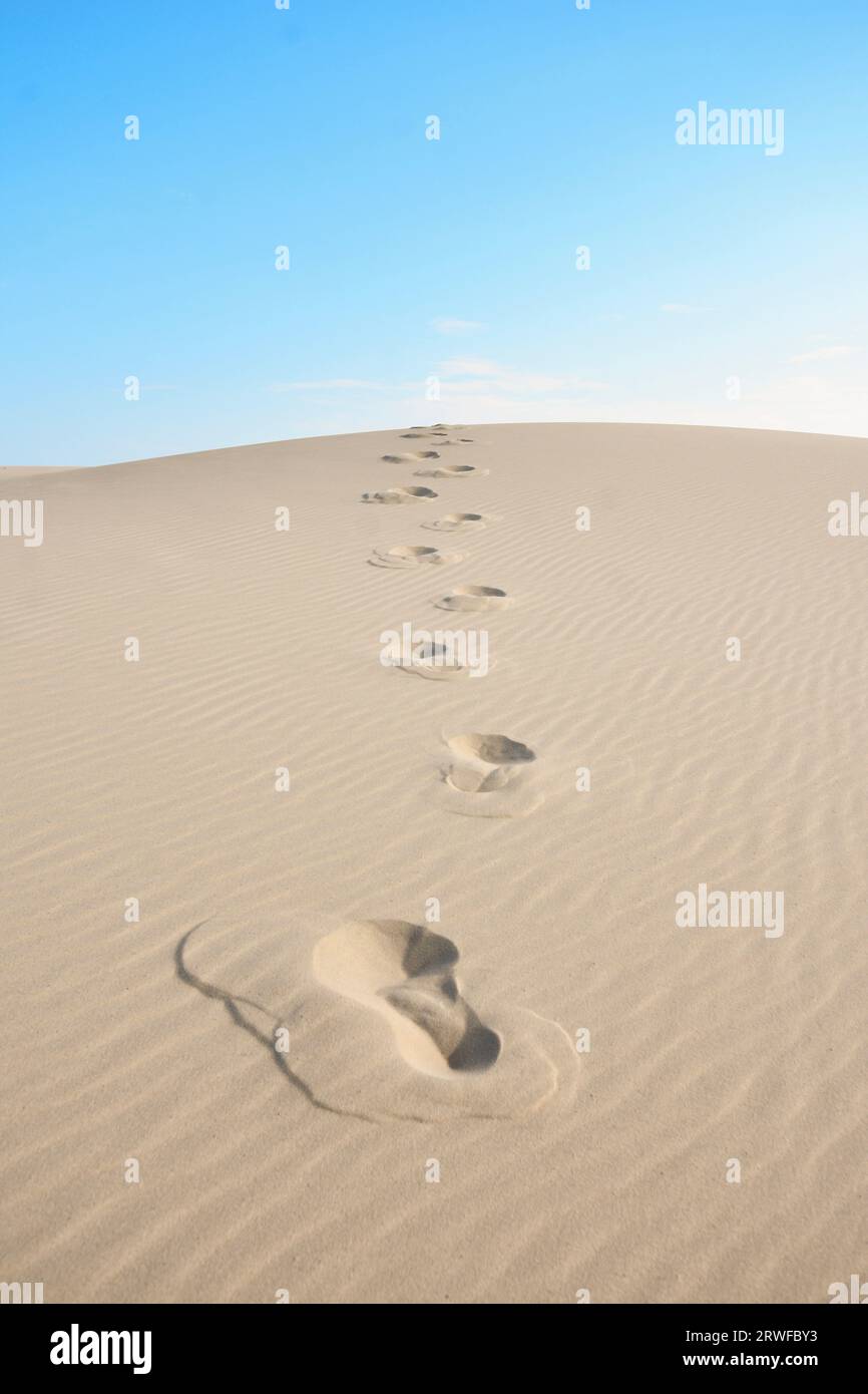 Footprints in sand of a large sand dune stretching into the distance ...