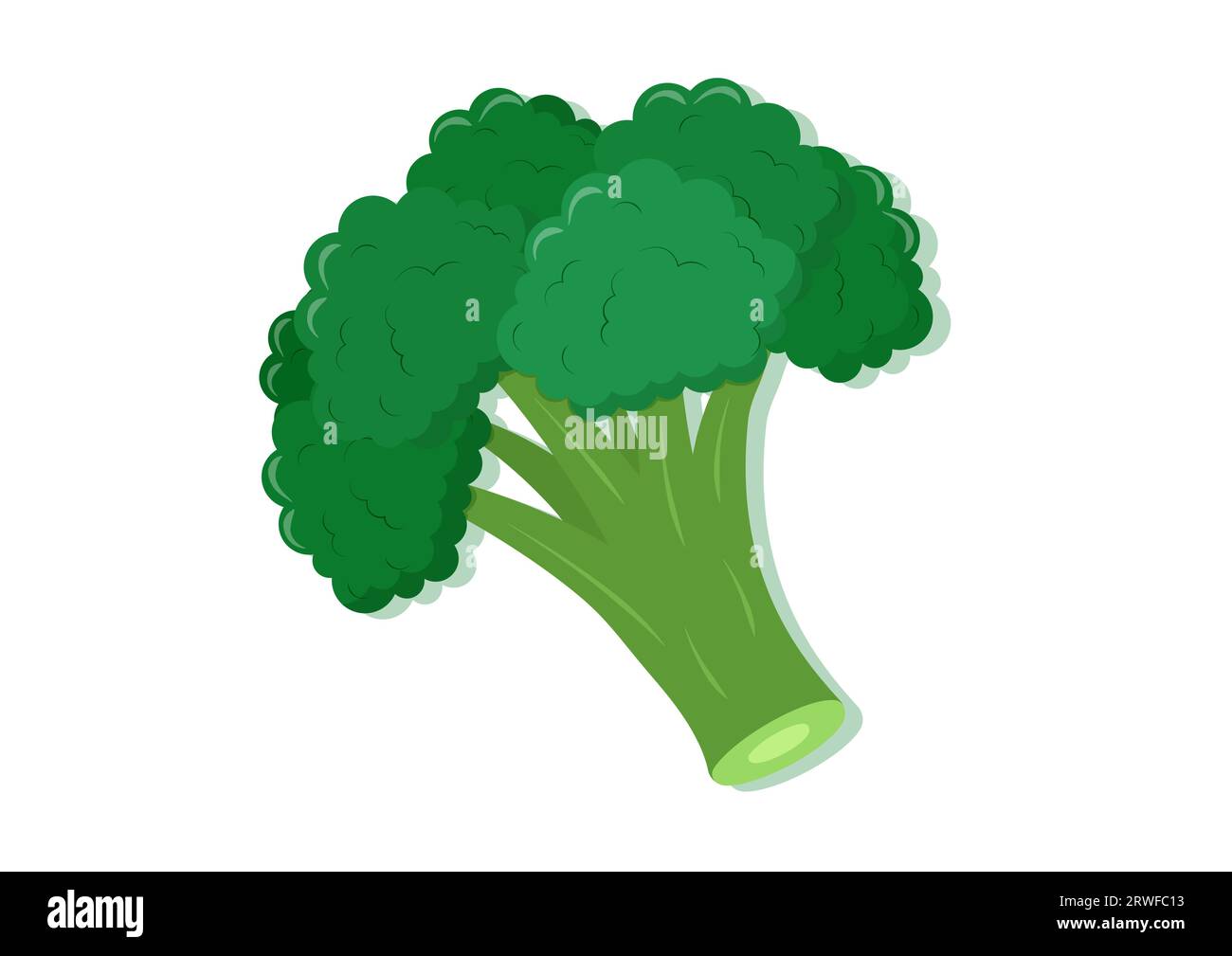 Drawing broccoli food nutrition hi-res stock photography and images - Alamy