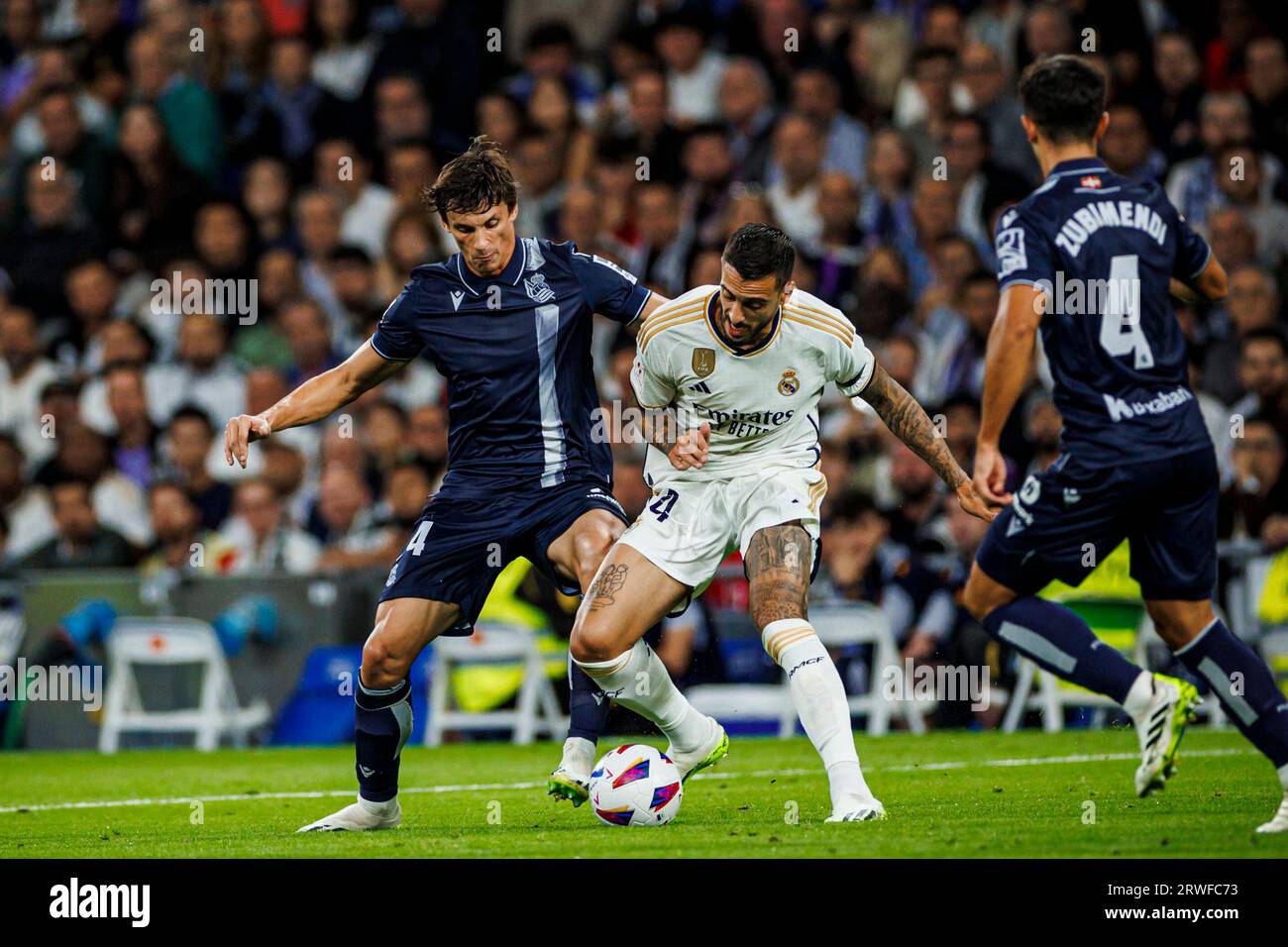Madrid, Spain. 17th Sep, 2023. MADRID, SPAIN - SEPTEMBER 17: .Robin Le ...