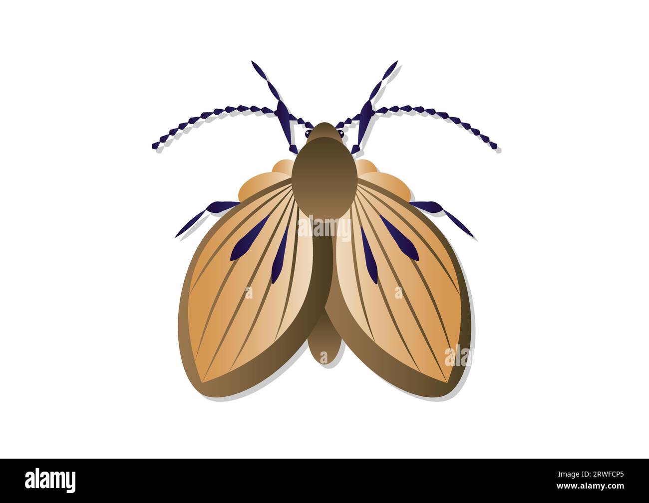 Green moth Stock Vector Images - Alamy