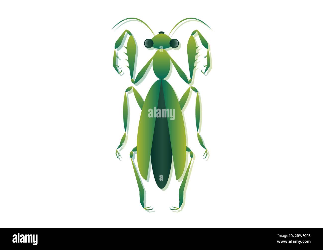Praying Mantis Vector Art. Green Grasshopper Clipart Isolated on White ...
