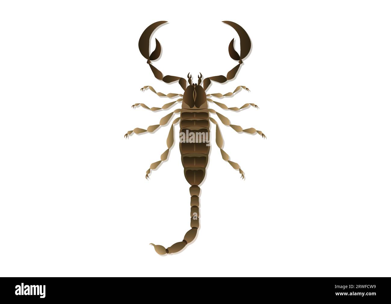 Scorpion Vector Art isolated on white background Stock Vector Image ...