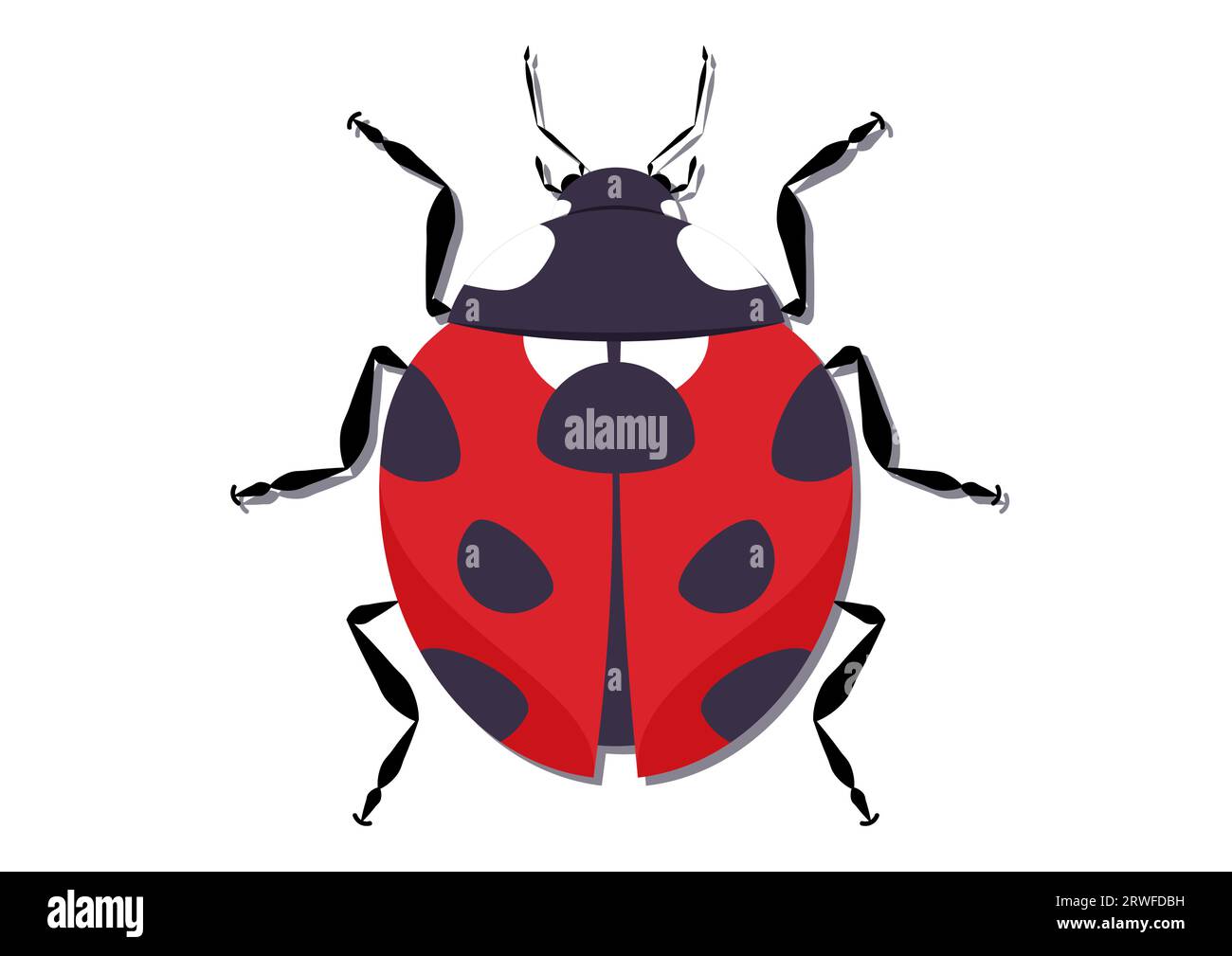 Cartoon Character of a Ladybug Vector Flat Design Stock Vector Image ...