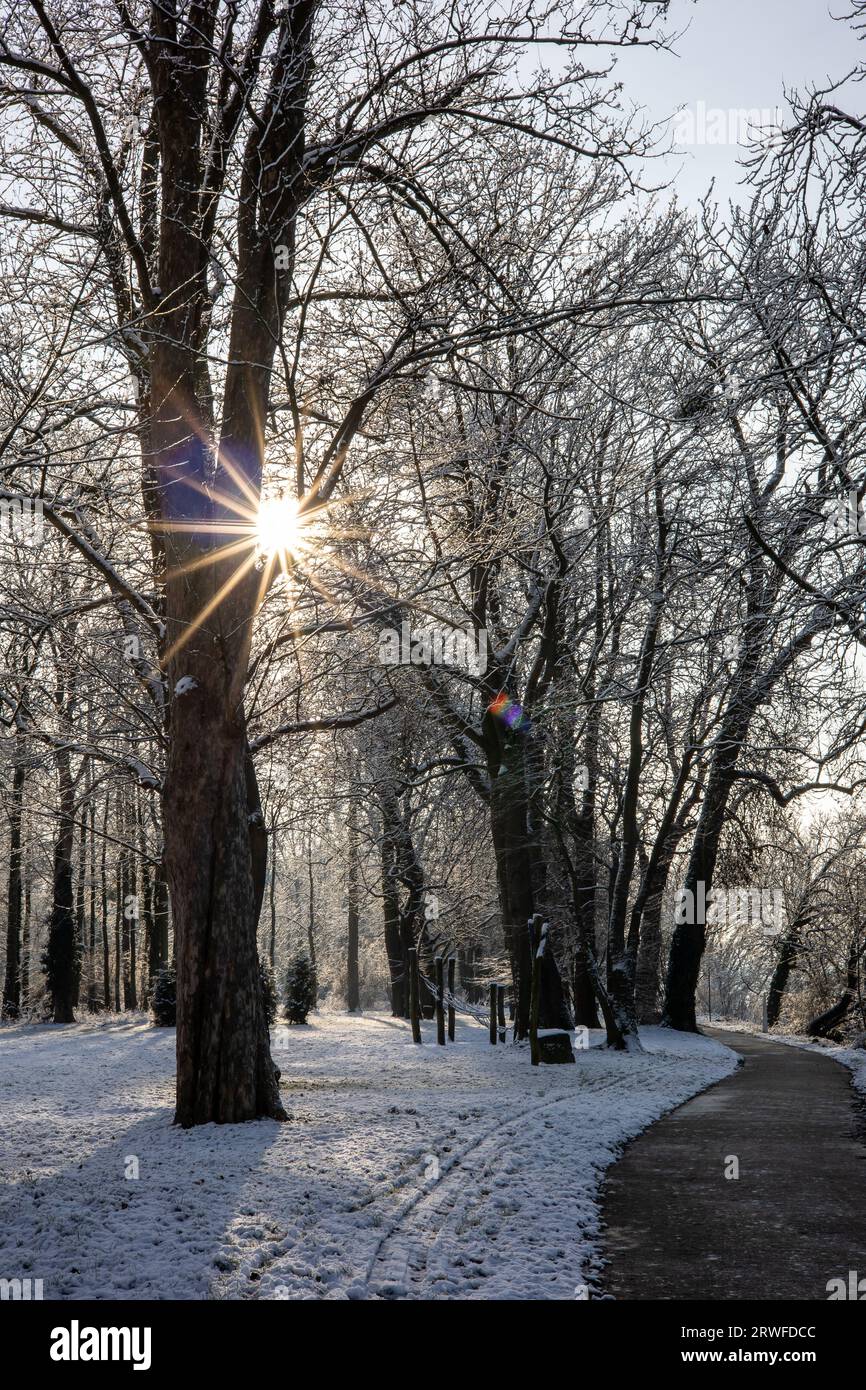 A winter landscape with a footpath in a forest with snow in the ...