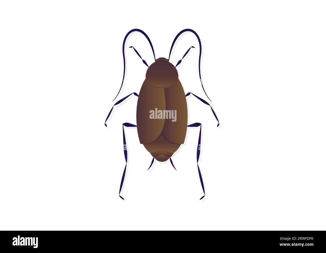 Common cockroach Stock Vector Images - Alamy