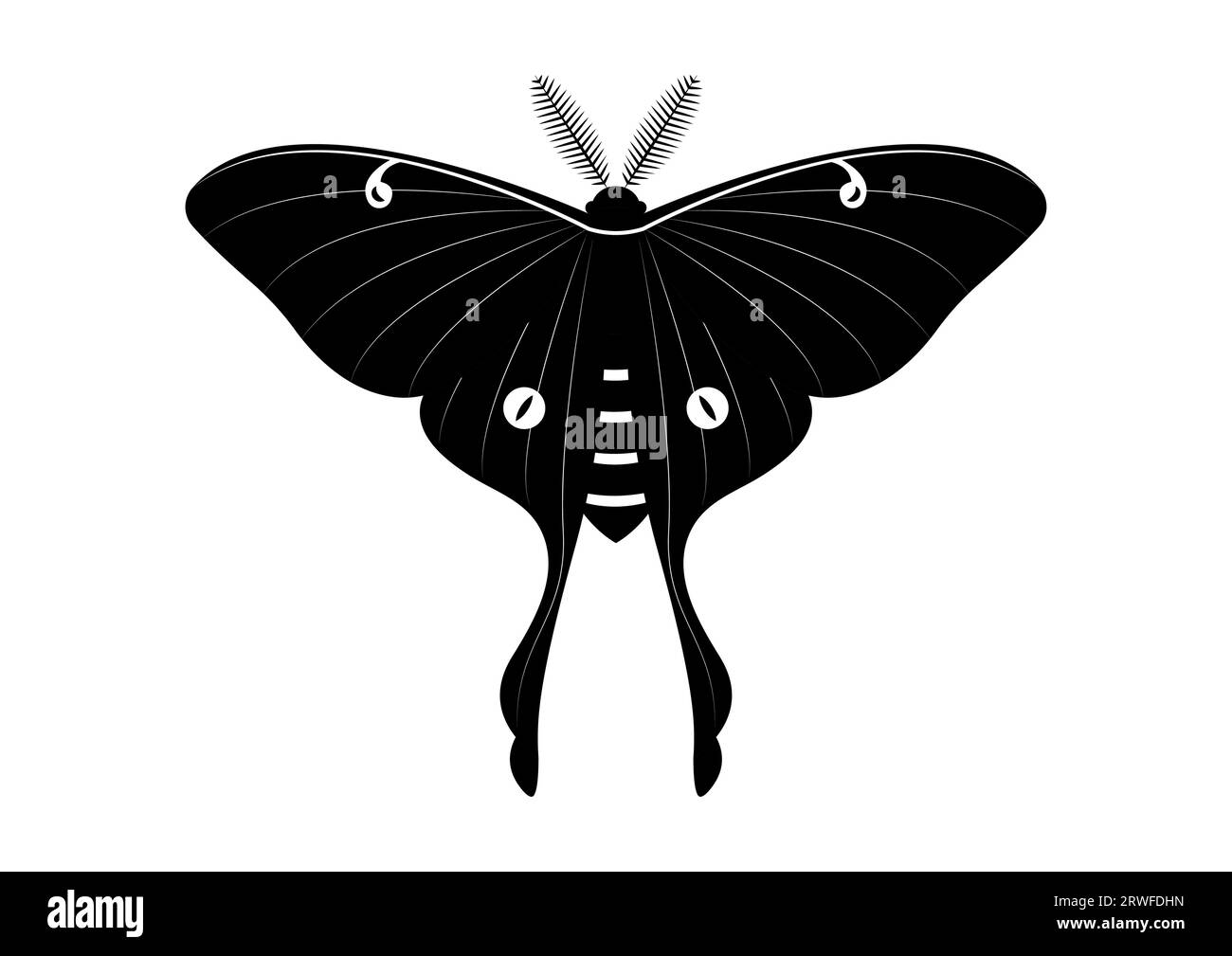 Black and White Butterfly Luna Moth Clipart Vector isolated on White ...