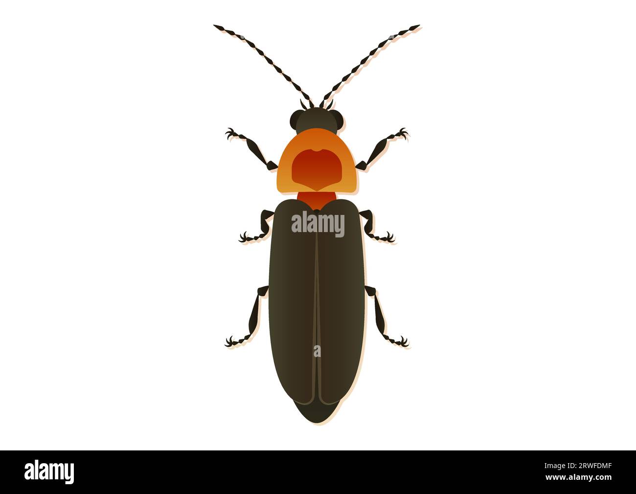 Firefly Vector Art Isolated On White Background Stock Vector Image