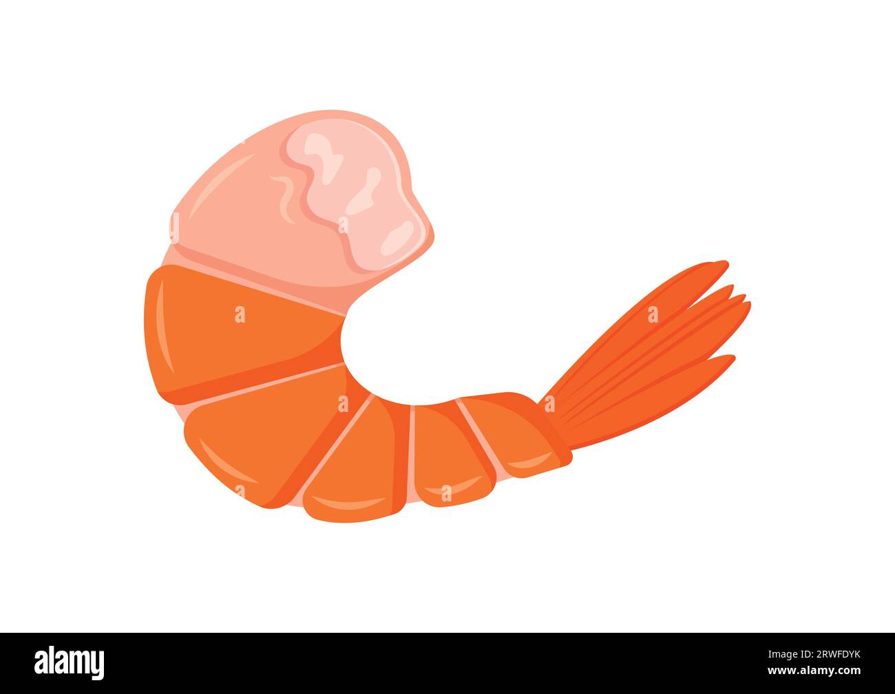 Cooked tail on shrimp Stock Vector Images - Alamy