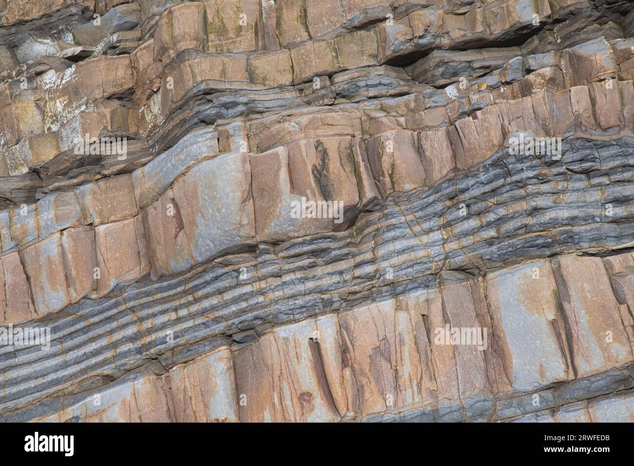 Rock Formation, Widemouth Bay, Cornwall, UK. Silesian (Upper ...