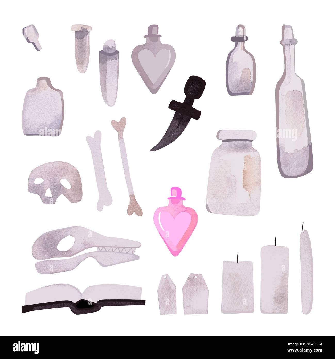A set of items for witchcraft rituals: skulls, bones, flasks and ...