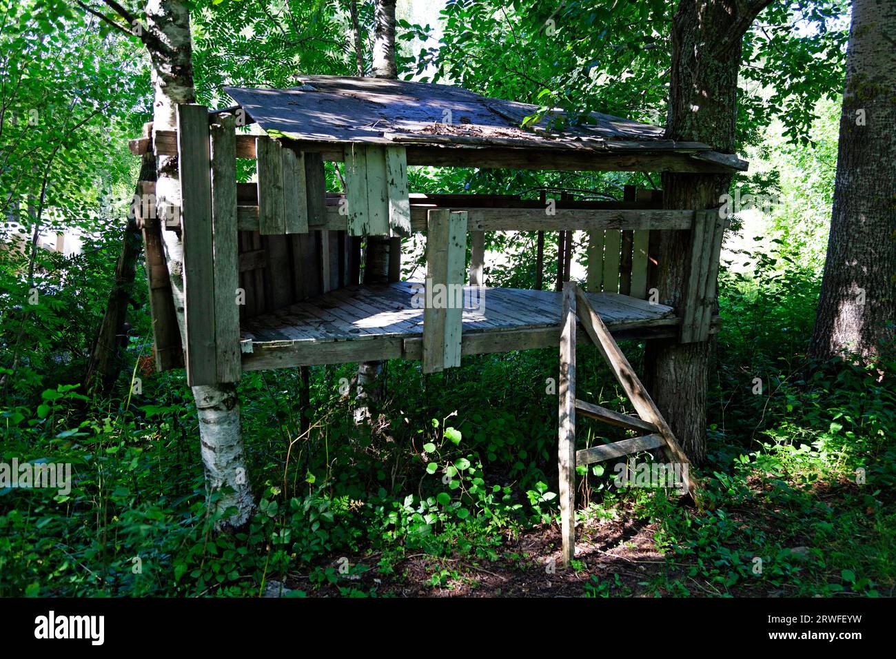 tree house in the forest built by children Stock Photo - Alamy