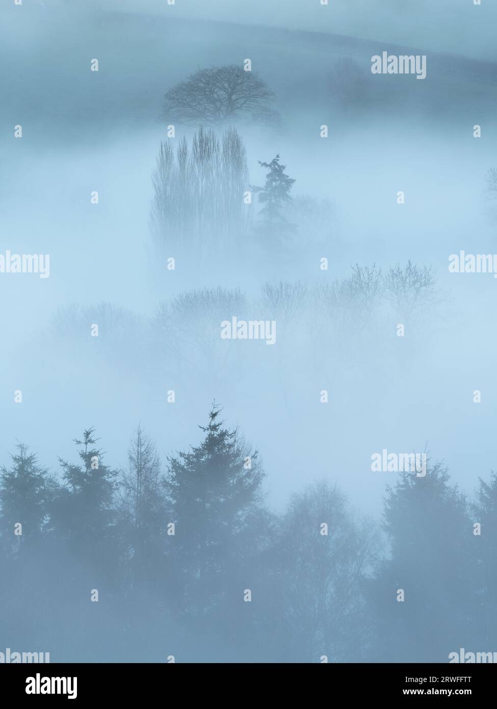 Morning mist in The Clun Valley near Craven Arms in South Shropshire ...