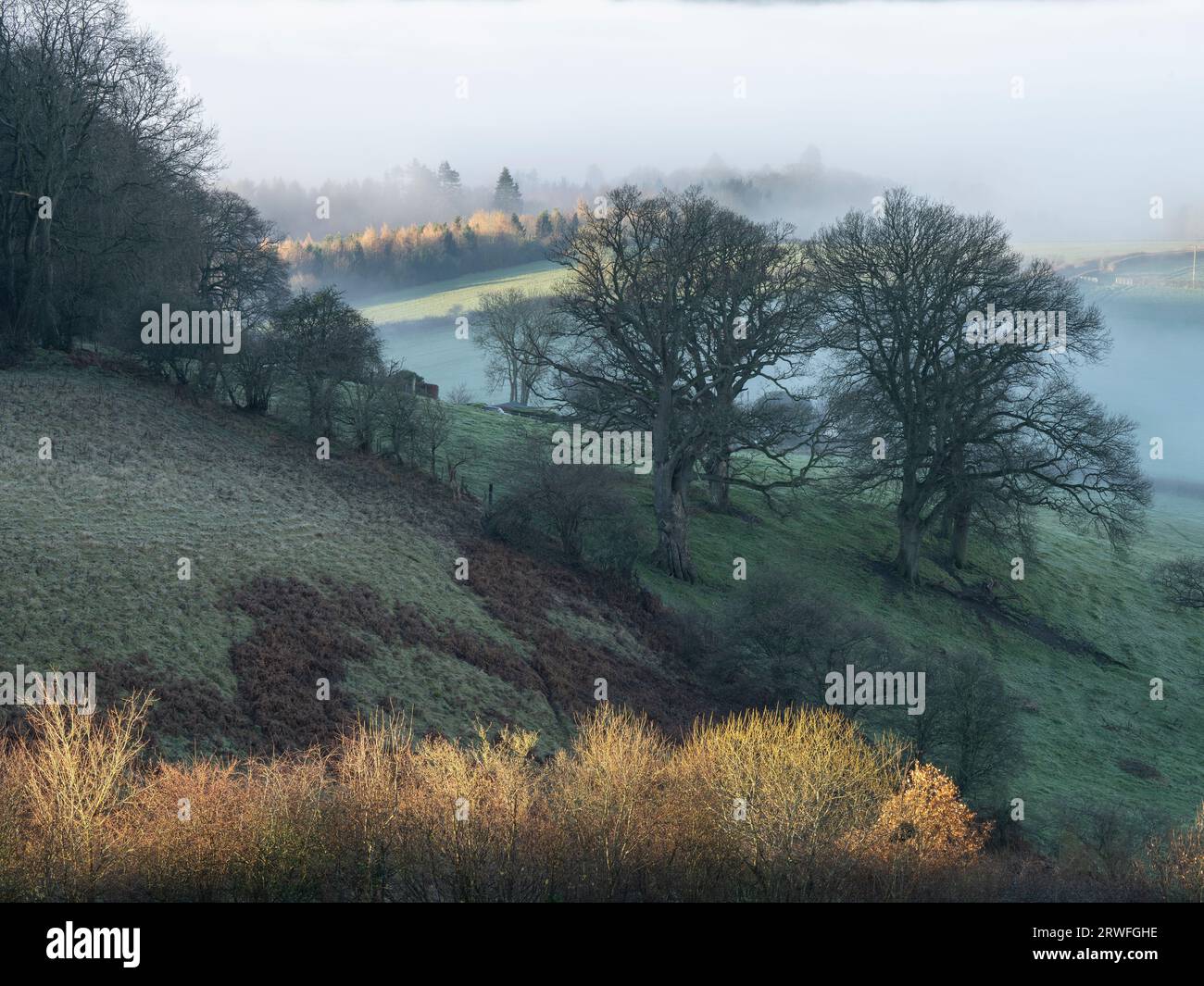 Morning mist hanging over the Clun Valley in South Shropshire, England ...