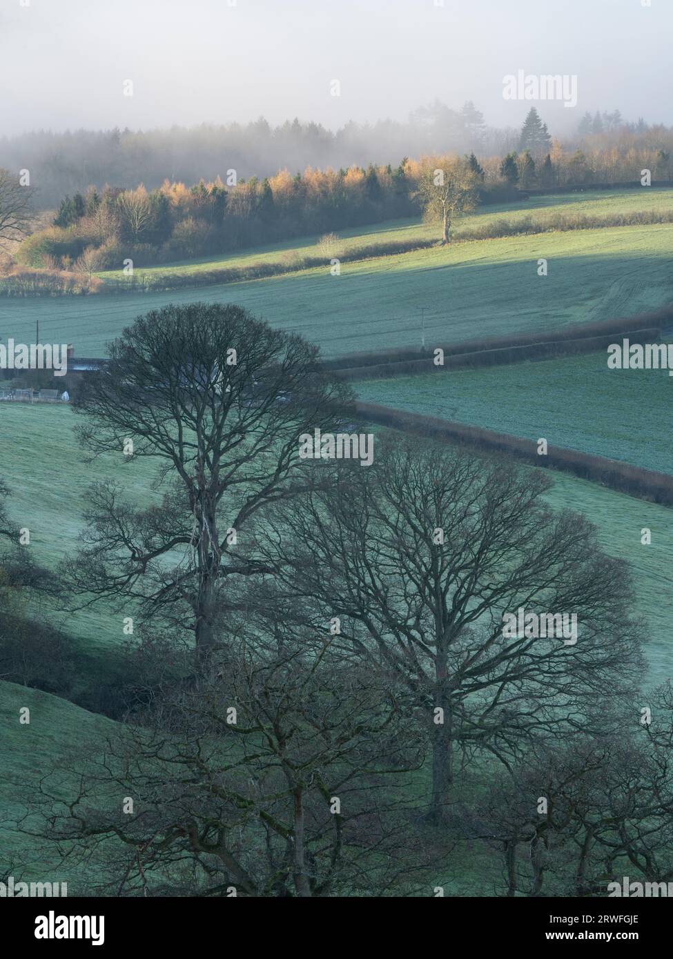 Morning mist hanging over the Clun Valley in South Shropshire, England ...