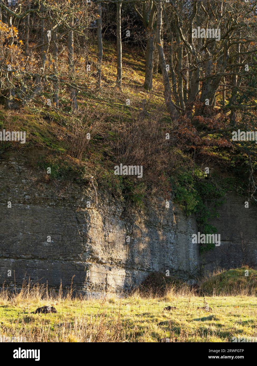 An old and abandoned quarry on View Edge above Craven Arms, Shropshire ...