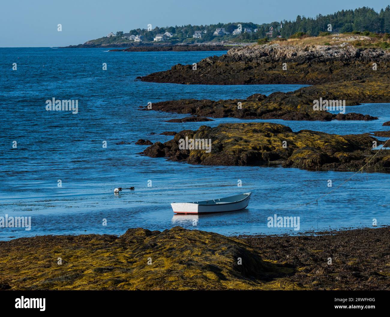 Sea skiff sits in ocean low tide amongst seaweed covered rock islands ...