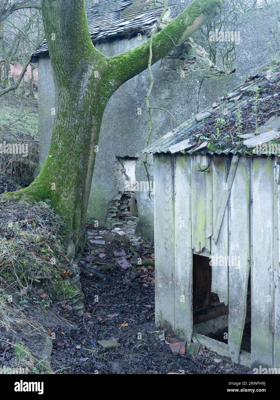 Old and derelict farm buildings in South Shropshire, England, UK Stock ...