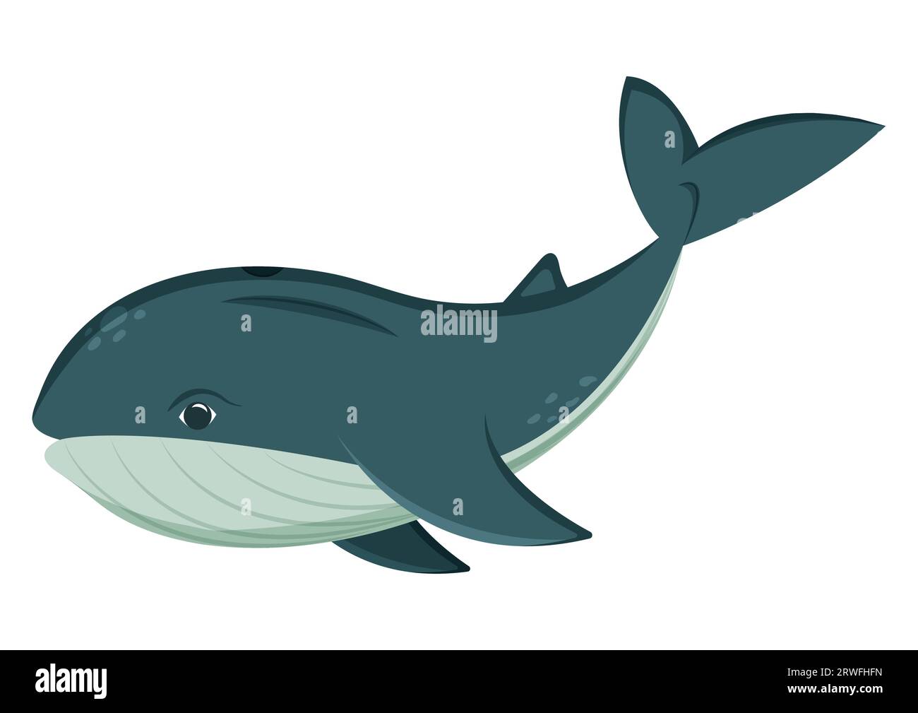 Ocean blue whale cartoon character vector illustration isolated on ...