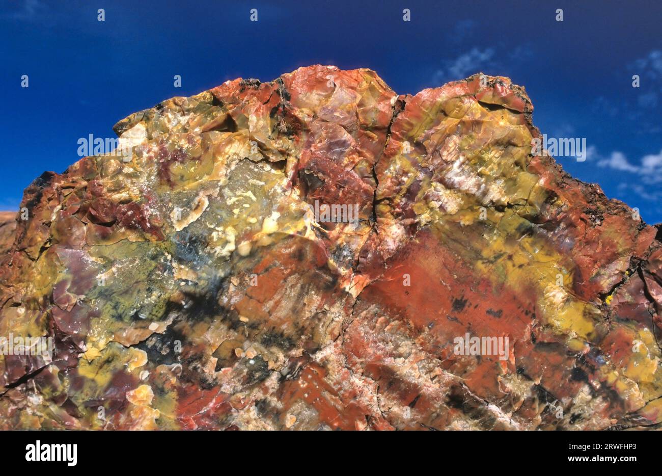 Petrified Wood at Petrified Forest National Park, Arizona USA, with ...