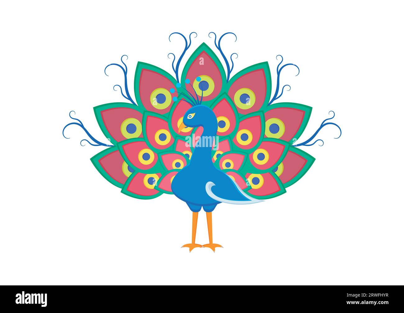 Colorful Peacock Vector Art Design Isolated On White Background Stock Vector Image And Art Alamy
