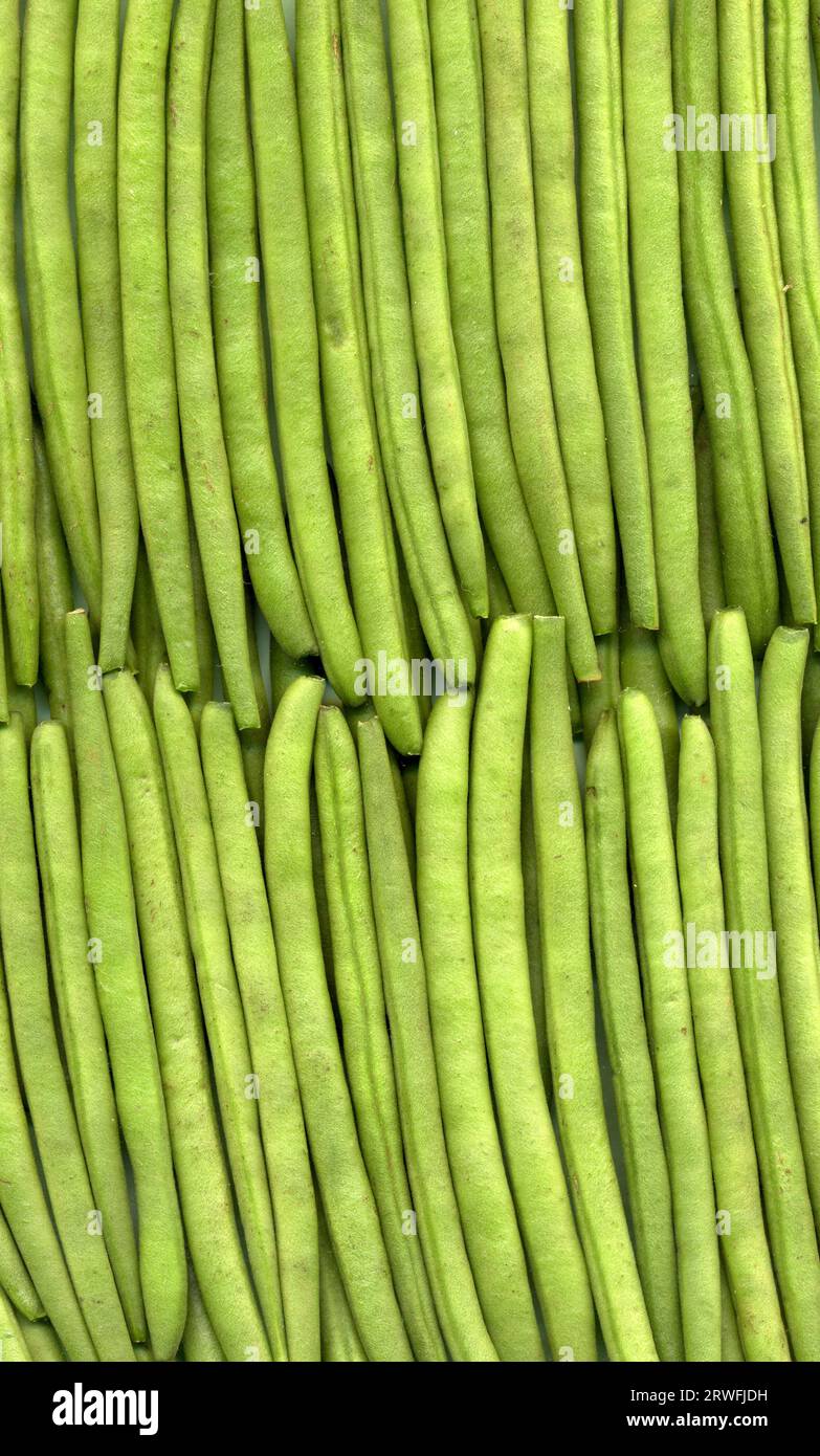 Prinzessbohnen hi-res stock photography and images - Alamy