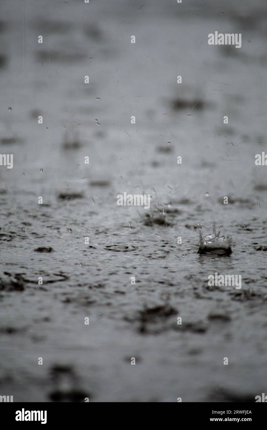 Raindrop reflection from the ground hi-res stock photography and images ...