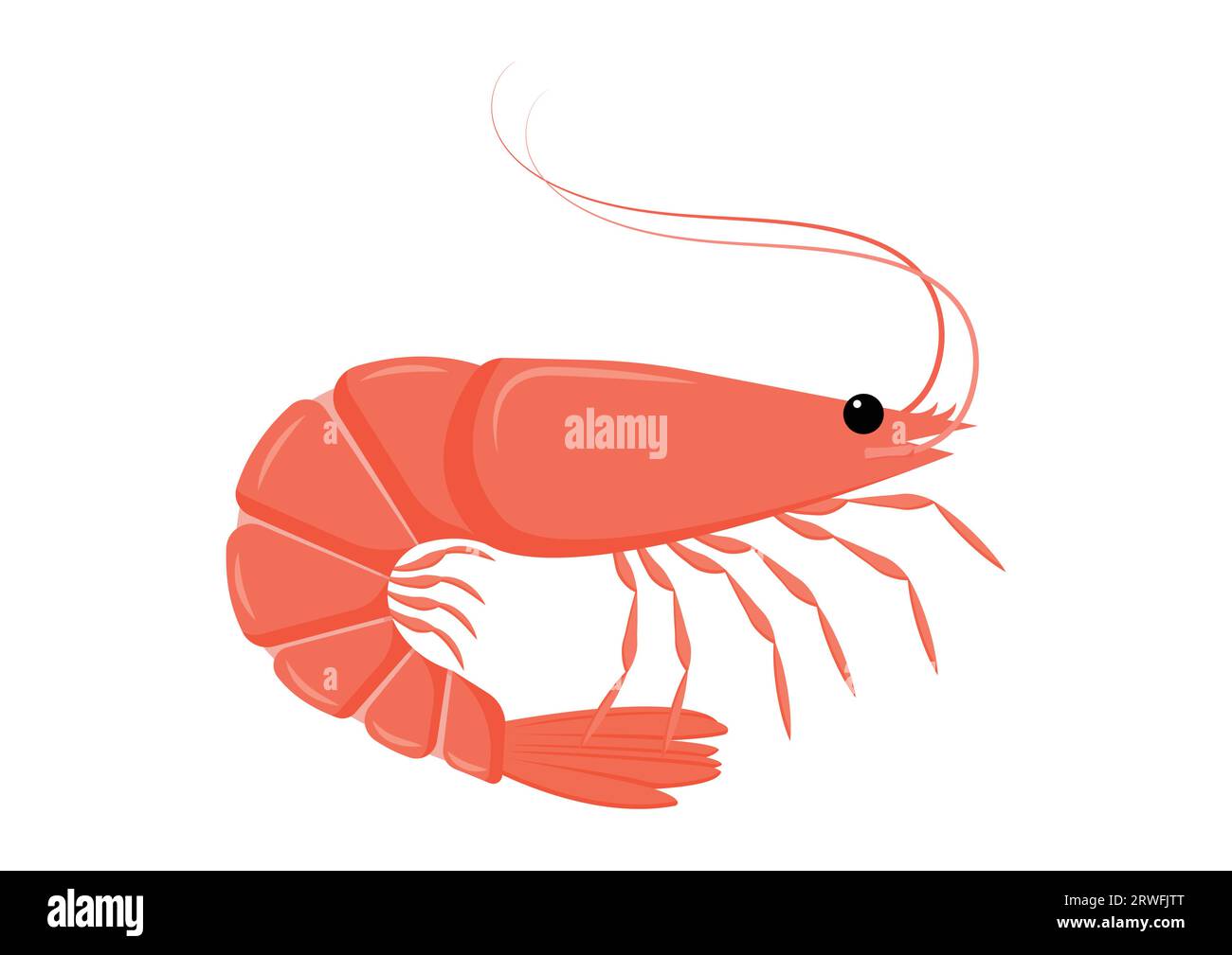 Shrimp Cartoon Character Vector Flat Design Vector Illustration Of Sea