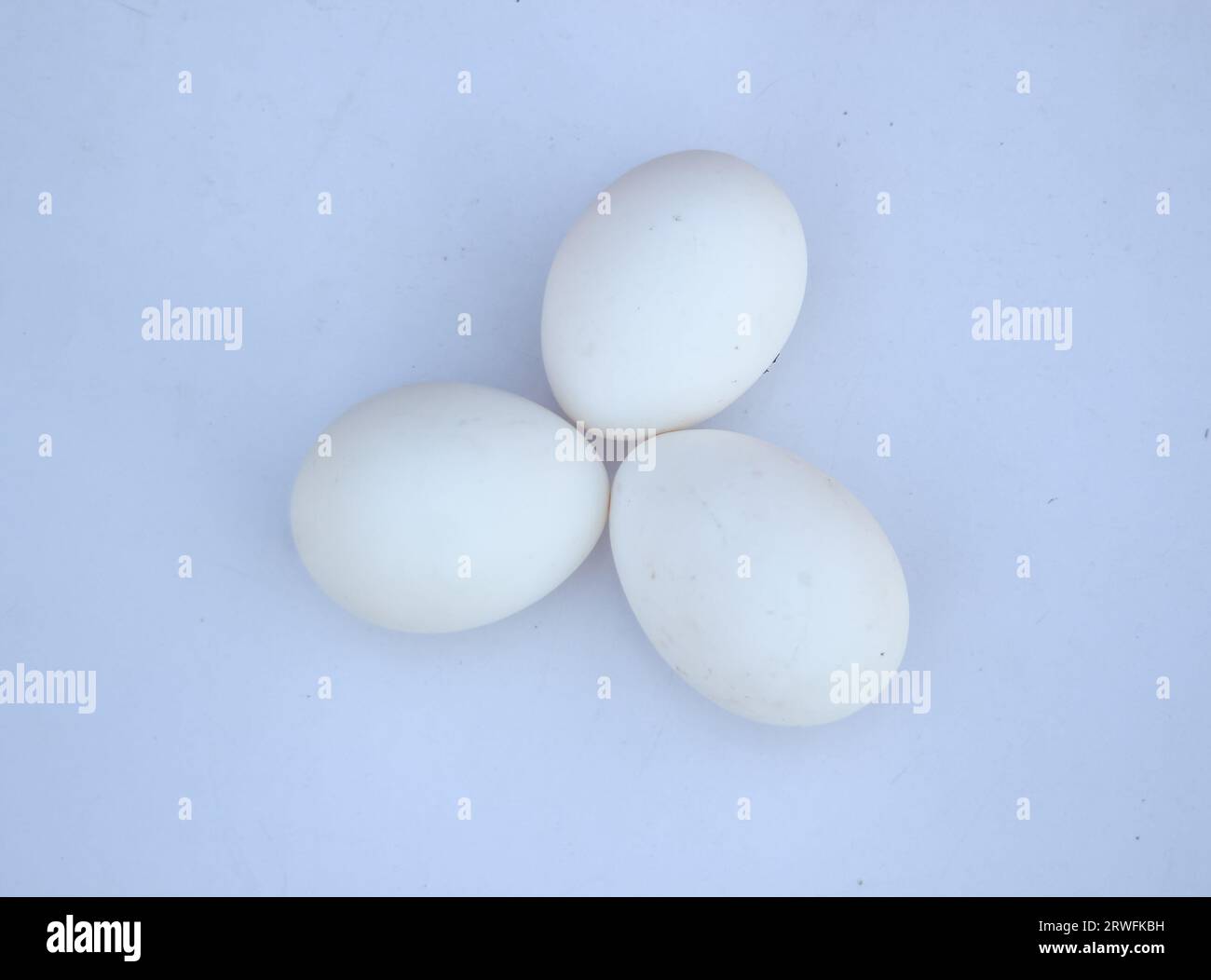 White hen's eggs isolated on white background. Hen's eggs isolated on ...