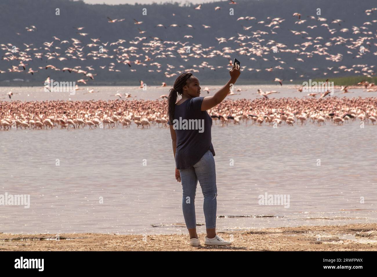 A tourist takes a selfie in front of flamingos at Lake Solai in Nakuru ...