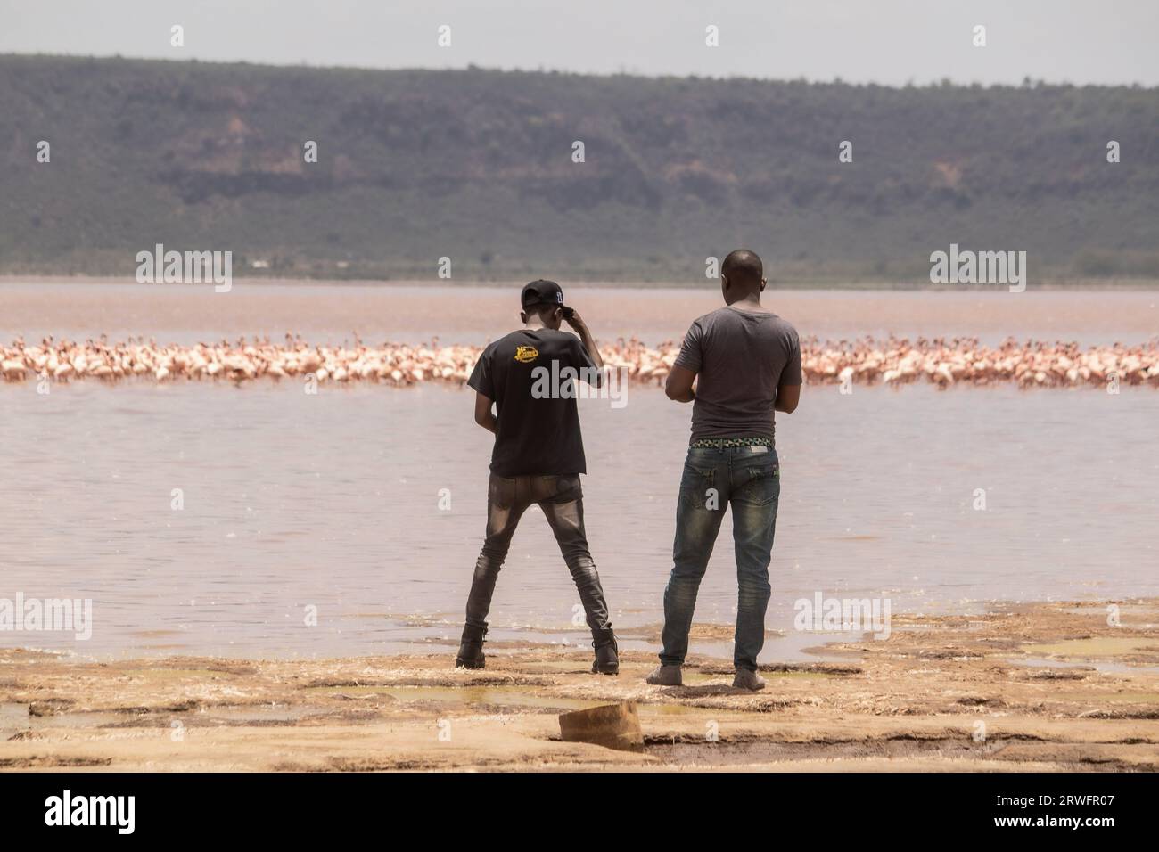 Nakuru, Kenya. 17th Sep, 2023. Tourists watch a flock of flamingos at ...
