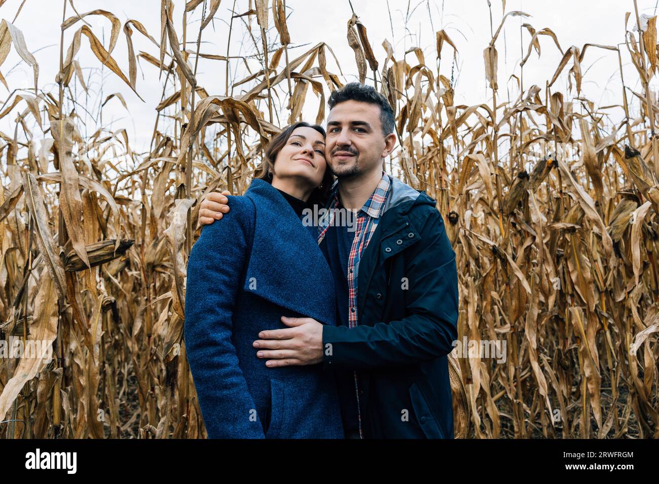 Young couple in love in the cornfield hi-res stock photography and ...