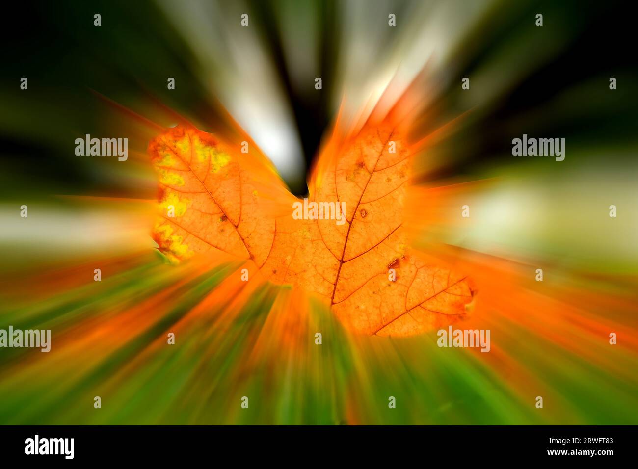 Blurred with center in focus hi-res stock photography and images - Alamy