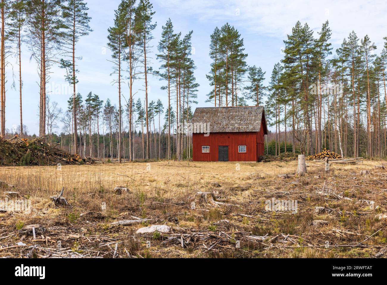 Old red house by a forestry Stock Photo - Alamy