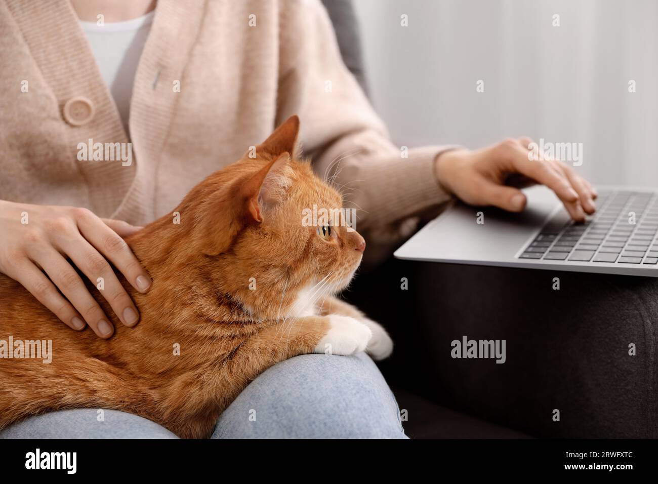 Woman lady ginger cat hi-res stock photography and images - Alamy