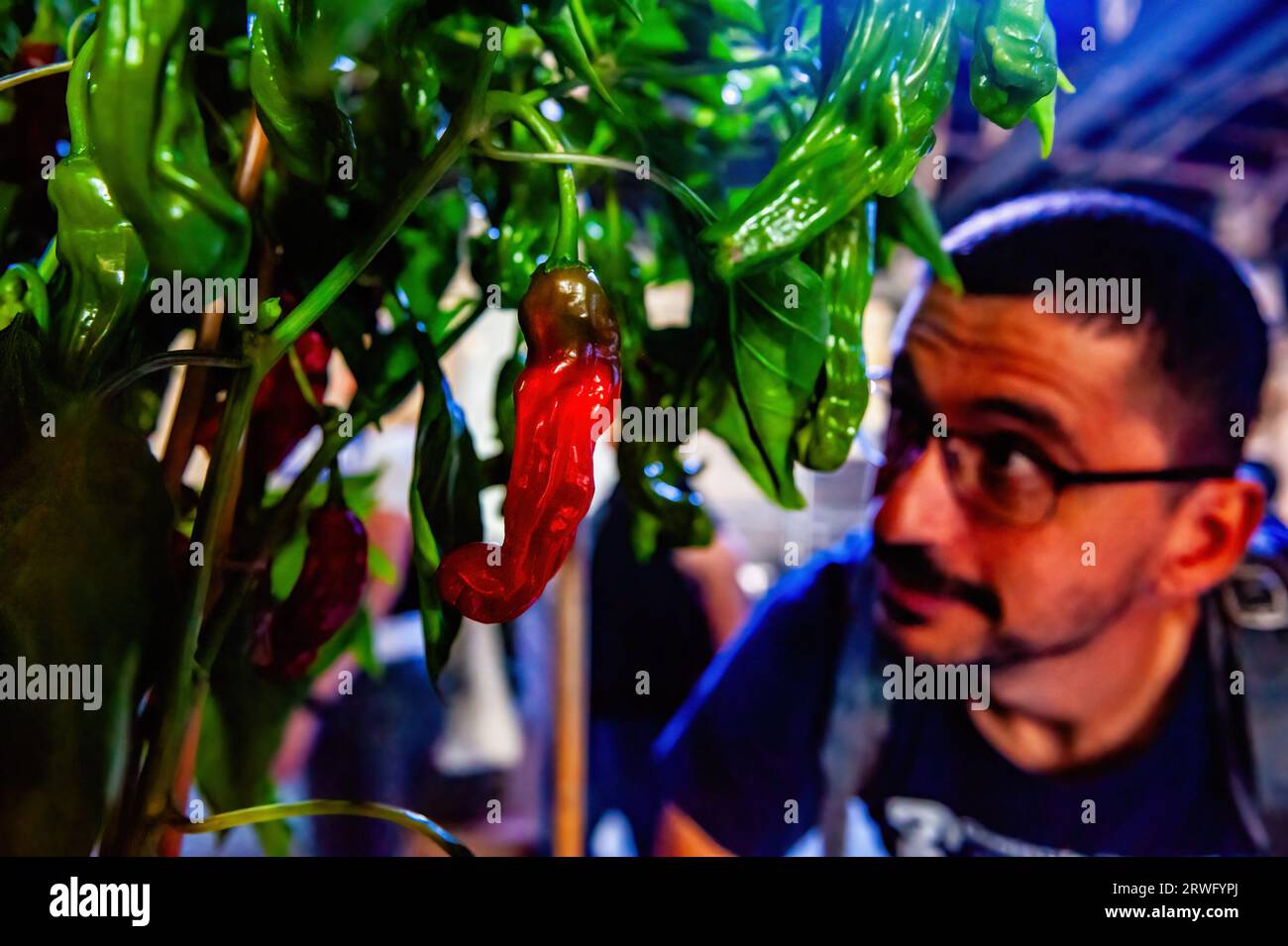 Eindhoven, Netherlands. 17th Sep, 2023. A man seen taking a closer look ...