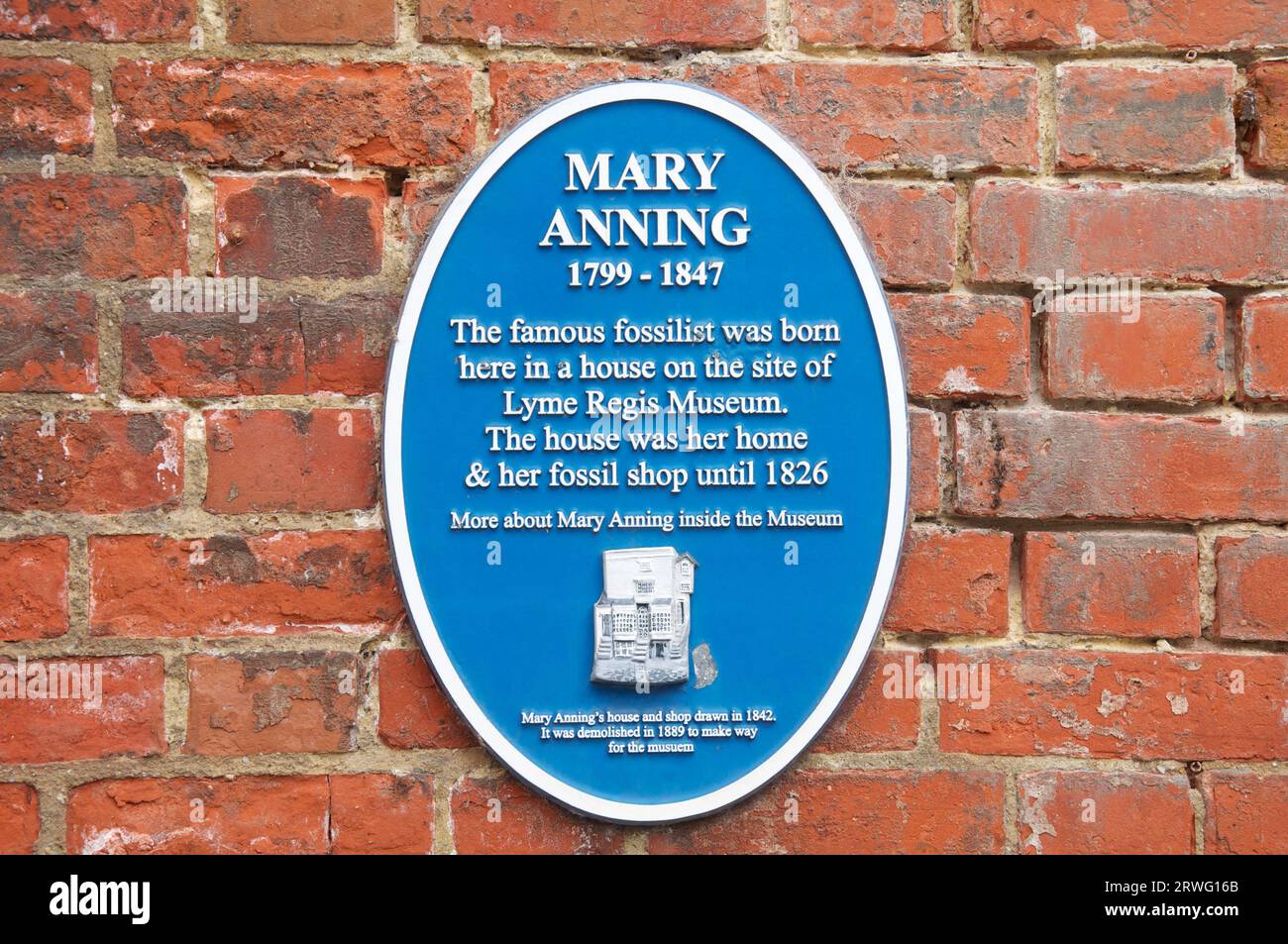 Blue plaque shows where Mary Anning the pioneering fossil hunter and ...