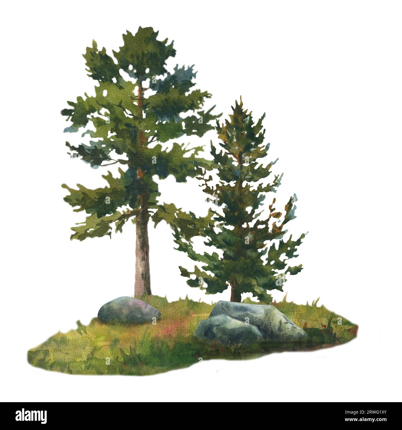 Forest landscape with rocks and trees. Hand drawn watercolor ...