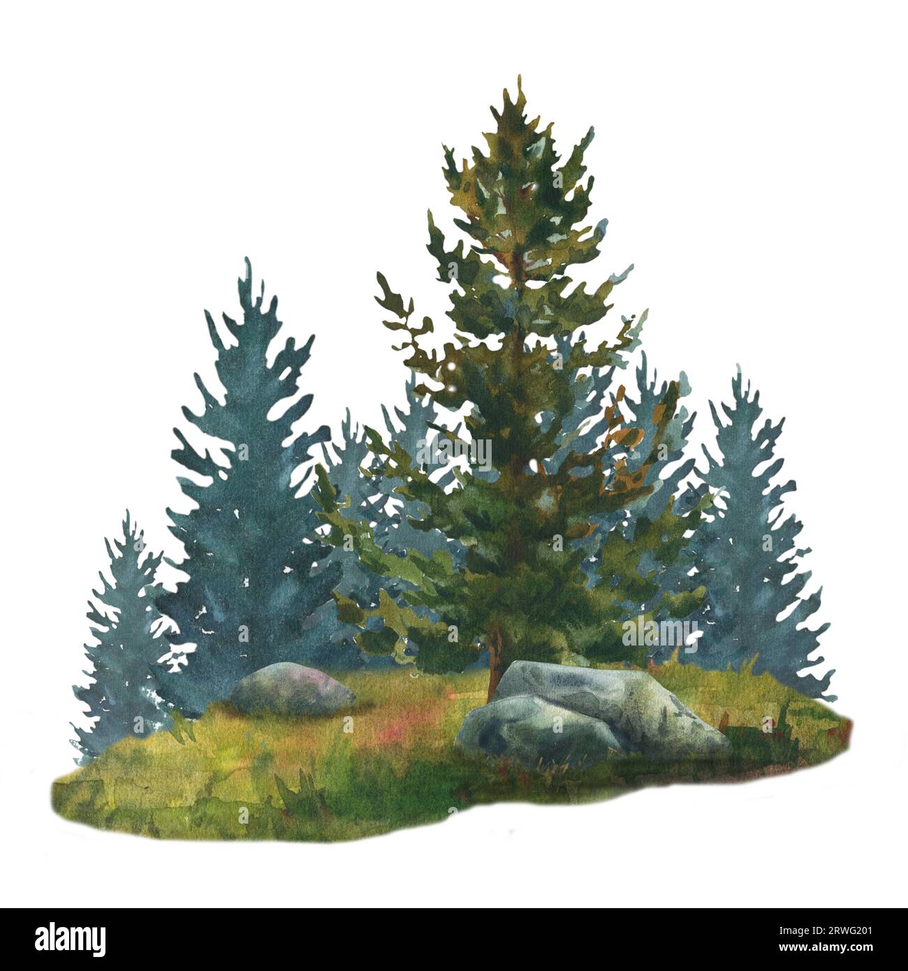 Forest landscape with rocks and trees. Hand drawn watercolor ...