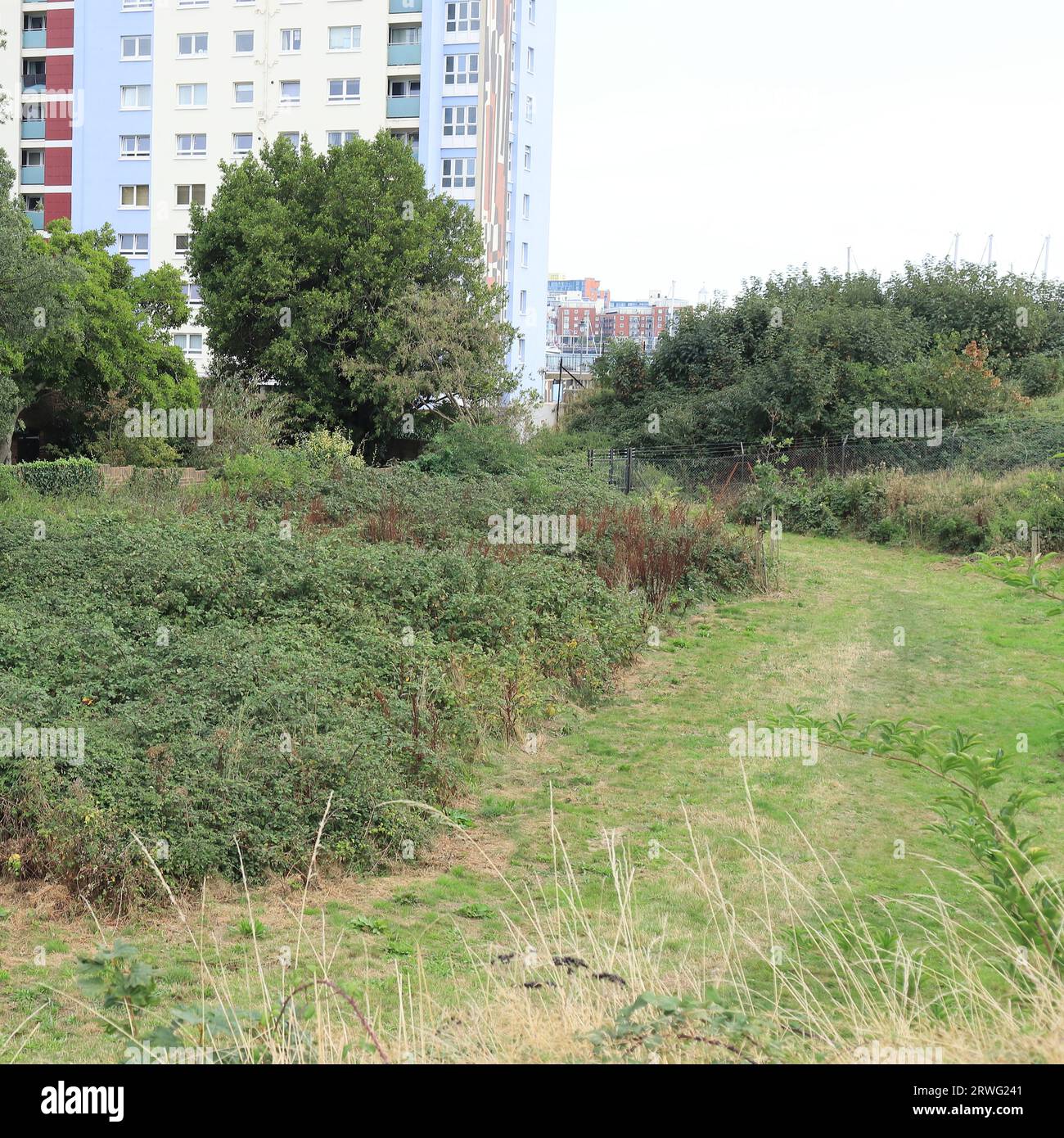 Gosport, England. September 16th 2023. A path through trees and shrubs ...