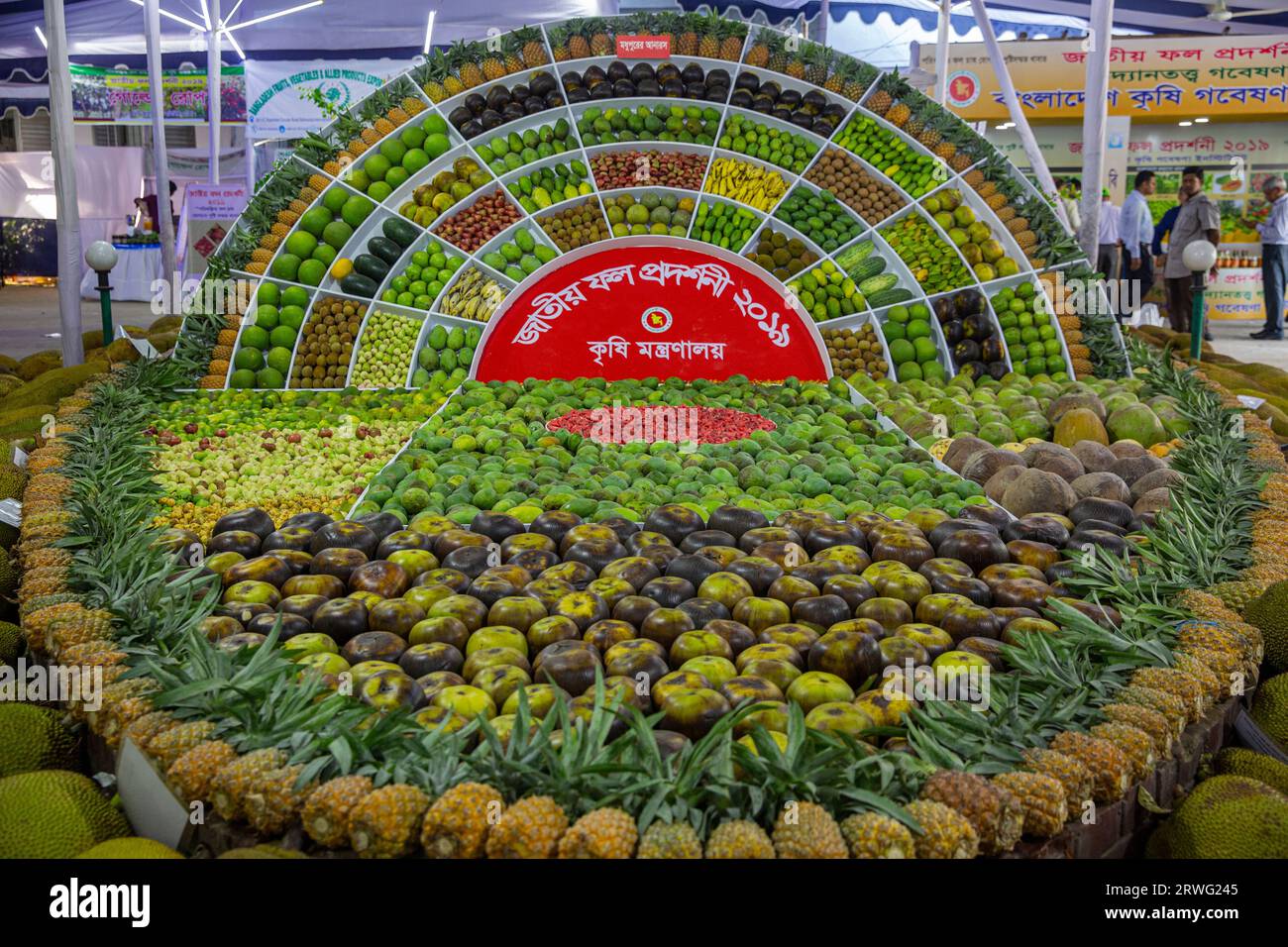 Different types of fruits on display at National Fruits Festival organized by ministry of ...
