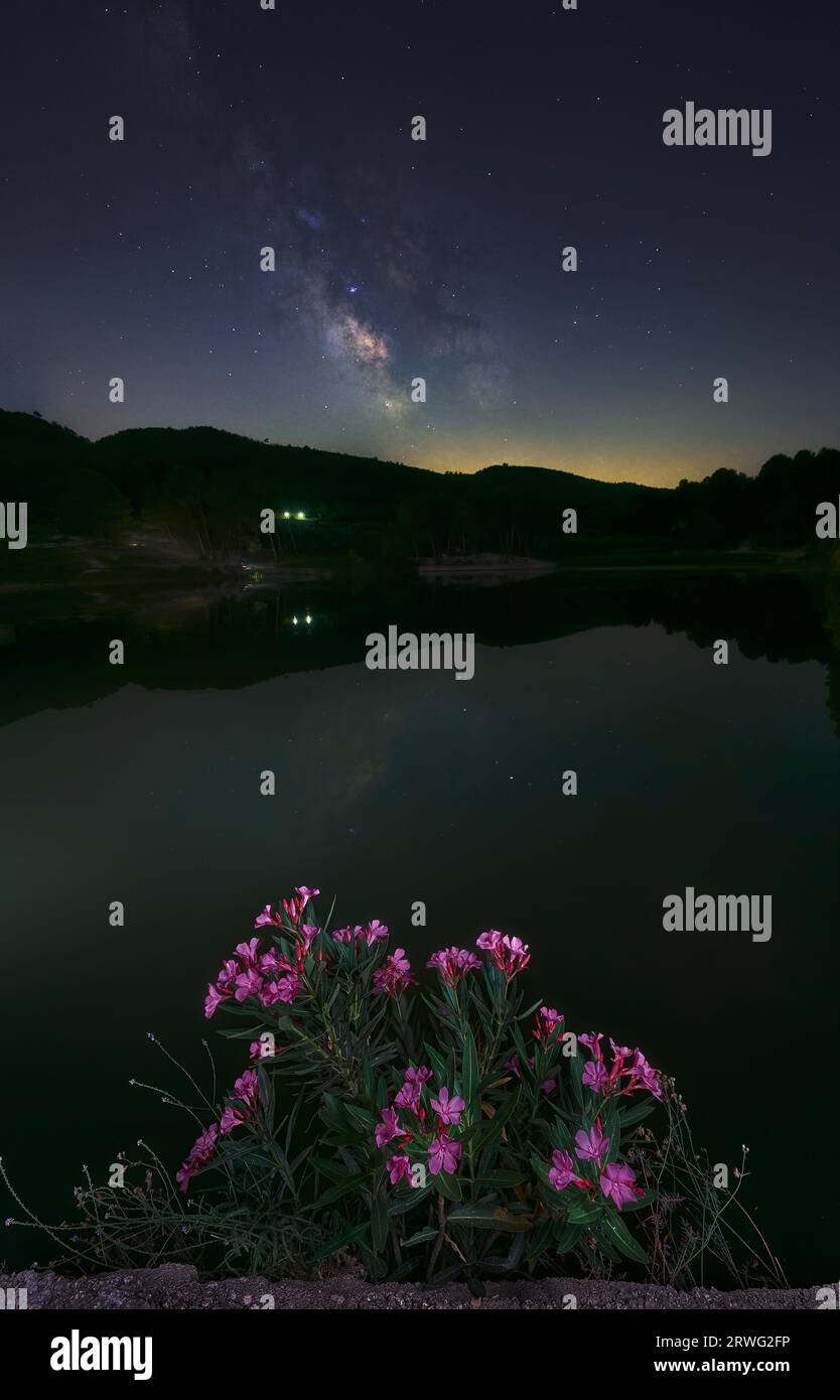 Flor estrella 2 hi-res stock photography and images - Alamy